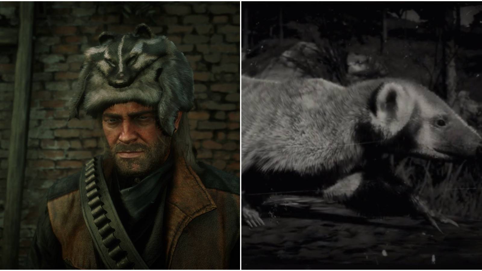 Red Dead Redemption 2: Badger Locations And All You Need To Know About Them