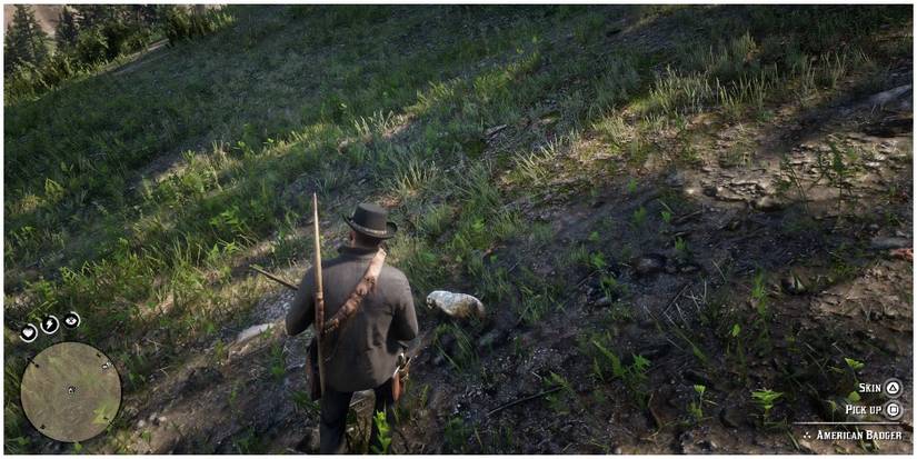 Red Dead Redemption 2: Badger Locations And All You Need To Know About Them