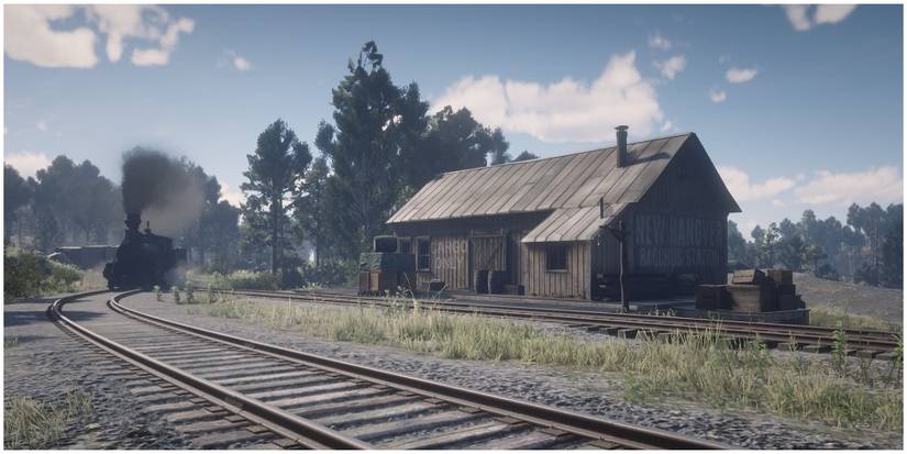 Red Dead Redemption 2: Badger Locations And All You Need To Know About Them