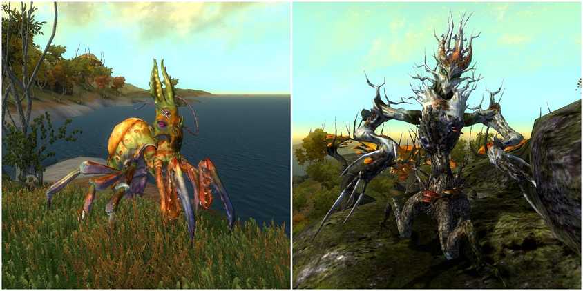 The Elder Scrolls 4 Oblivion: Best Quest In Each City