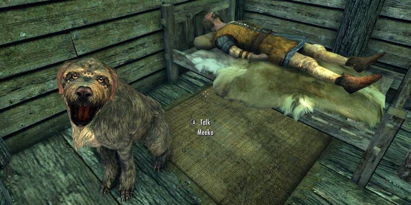 Skyrim: Why Meeko is the Game’s Most Tragic Animal Follower