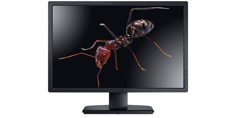 The 10 Most Important Things To Consider When Buying A Gaming Monitor