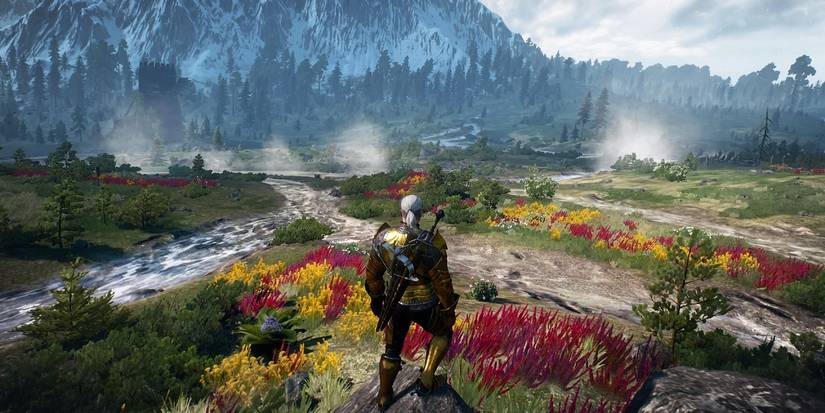Best Graphics Mods For The Witcher 3