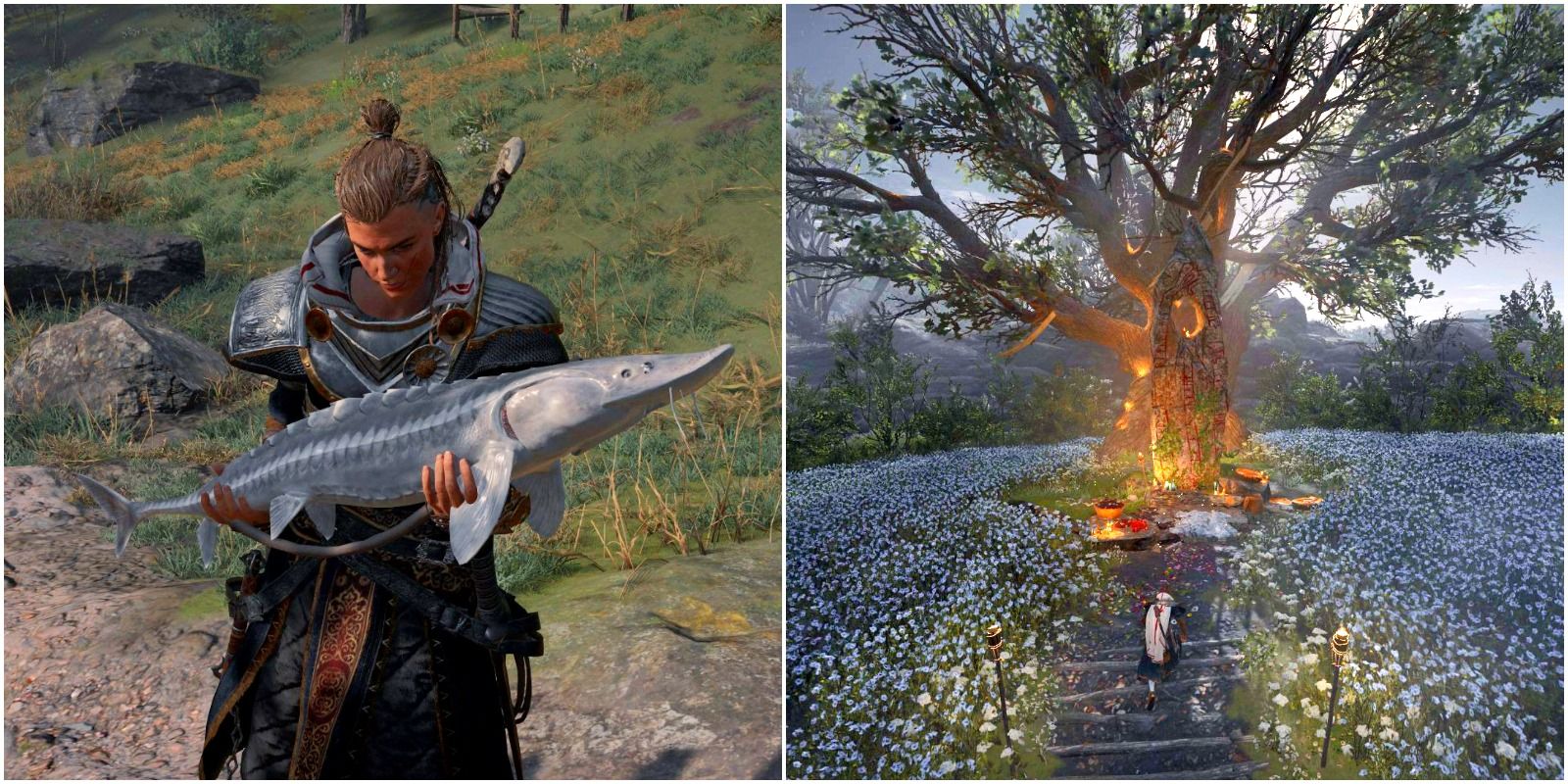 Assassin's Creed Valhalla: Wrath of the Druids - How To Perform The ...