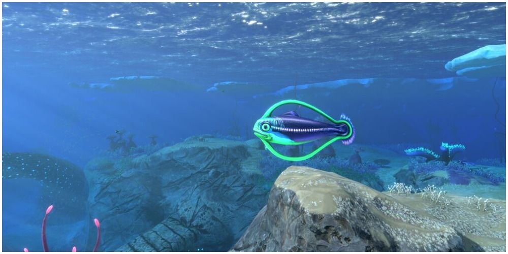 Subnautica: Below Zero - All Herbivore Creatures & Where To Find Them