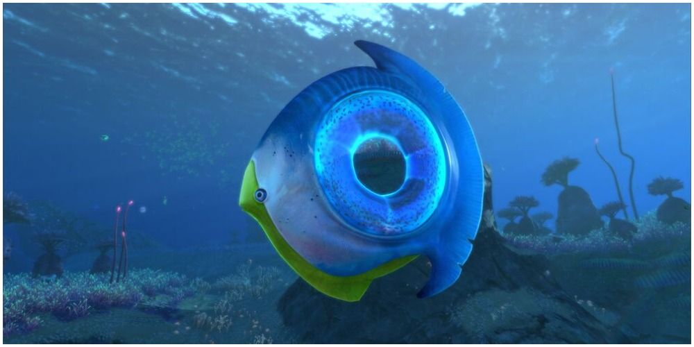 Subnautica: Below Zero - All Herbivore Creatures & Where To Find Them