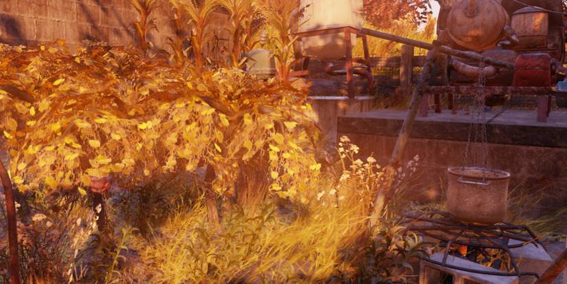 How To Farm Adhesive In Fallout 76