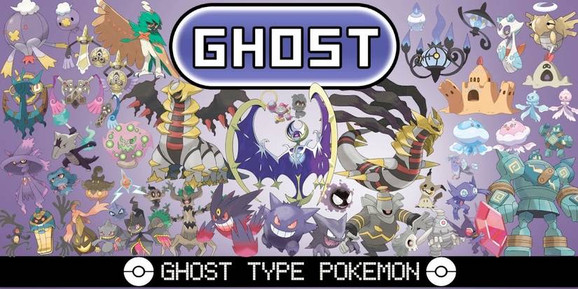 The Best Challenge Runs For Pokemon Players