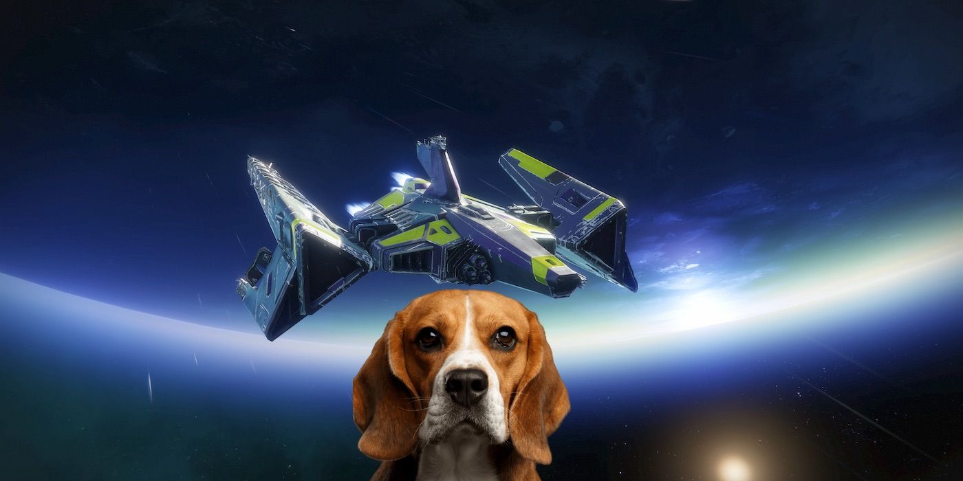 Destiny 2 Beagle Error on PS5: How to Fix and Avoid It Destiny 2 Beagle Error on PS5: How to Fix and Avoid It