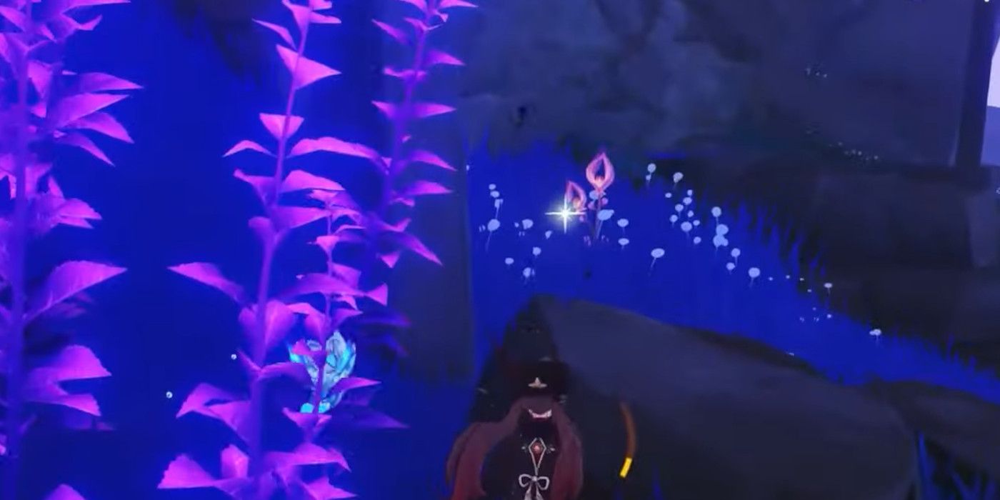 Genshin Impact: Where to find Naku Weed