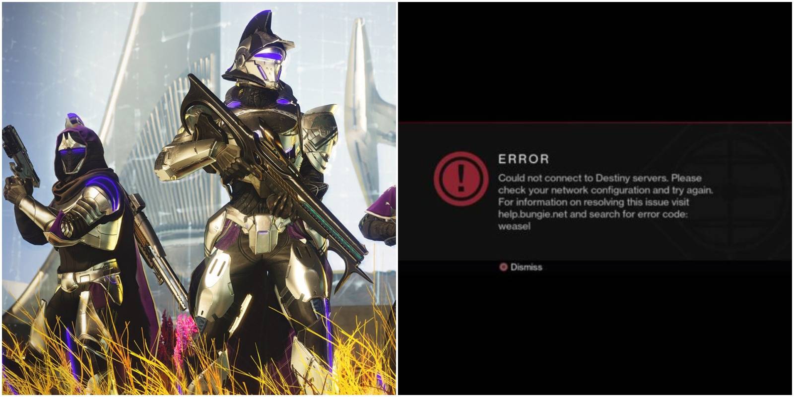 Destiny 2: What Is Error Code Weasel & How To Fix It