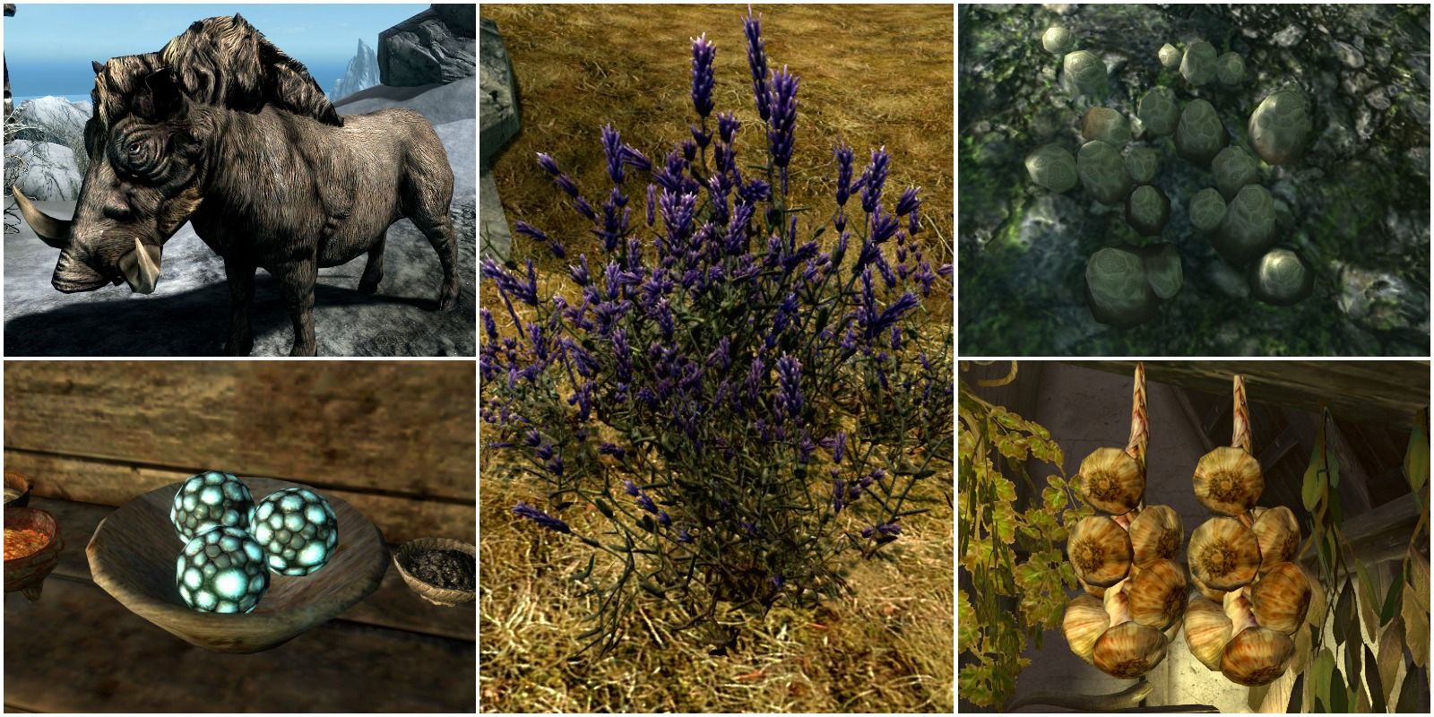 Skyrim: How To Make A Fortify Stamina Potion