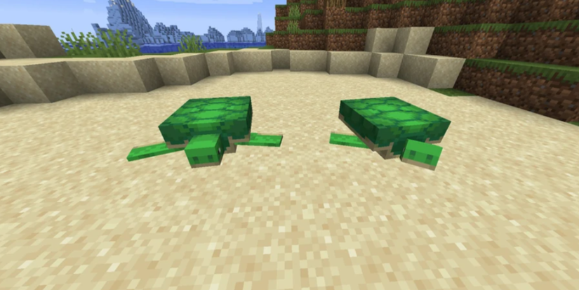 Minecraft: What Do Turtles Eat?