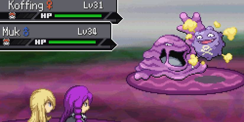 Things You Need To Know Before Starting Pokemon Reborn