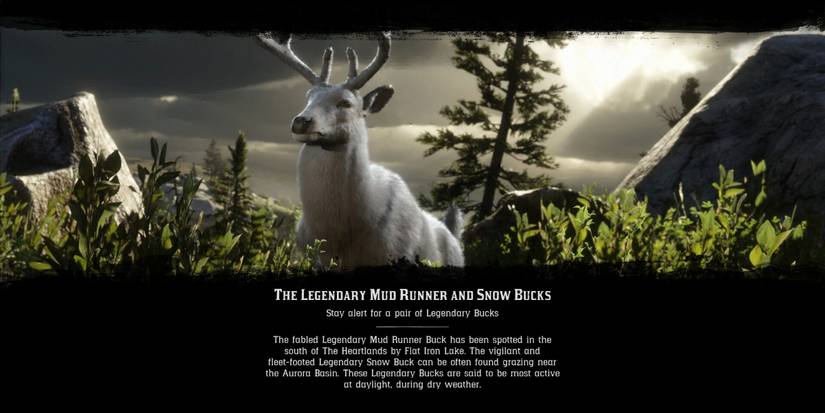 RDR2: Legendary Buck Guide