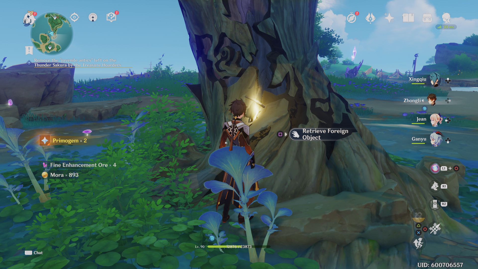 Genshin Impact: How to Remove the Juvenile Antics Left on the Thunder ...