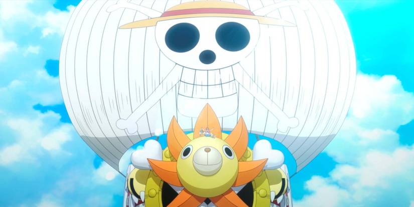 One Piece: The Thousand Sunny, Explained