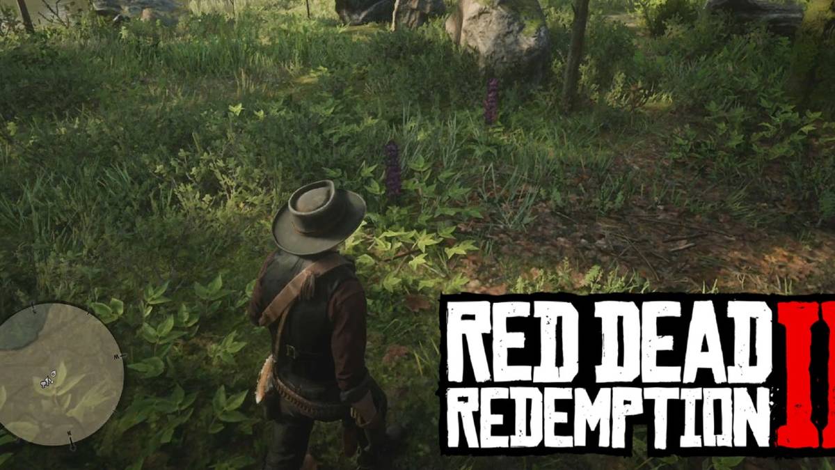 RDR2: Hummingbird Sage Locations
