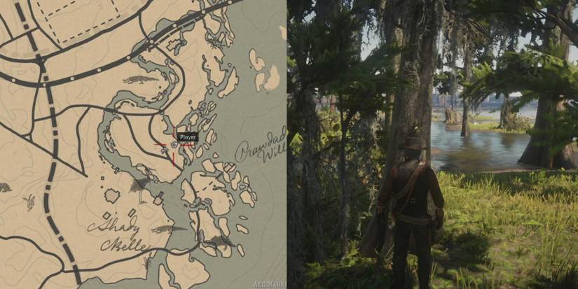 Red Dead Redemption 2: How To Find Every Night Scented Orchid