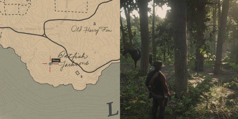 Red Dead Redemption 2: How To Find Every Night Scented Orchid