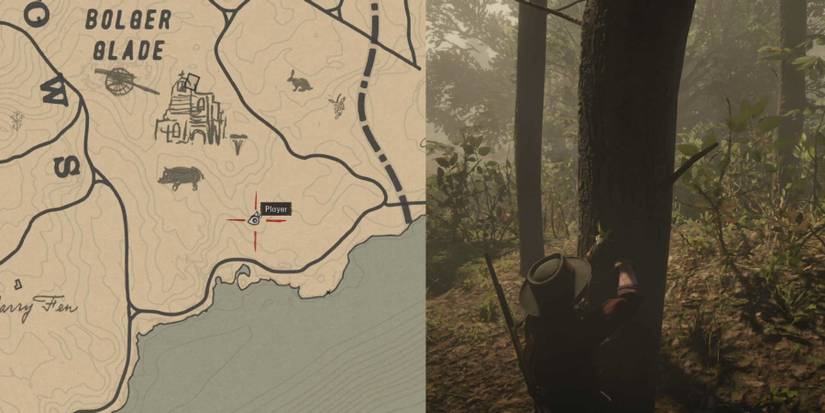 Red Dead Redemption 2: How To Find Every Night Scented Orchid