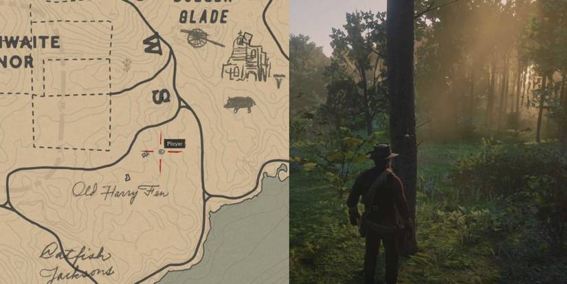 Red Dead Redemption 2: How To Find Every Night Scented Orchid