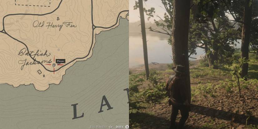 Red Dead Redemption 2: How To Find Every Night Scented Orchid