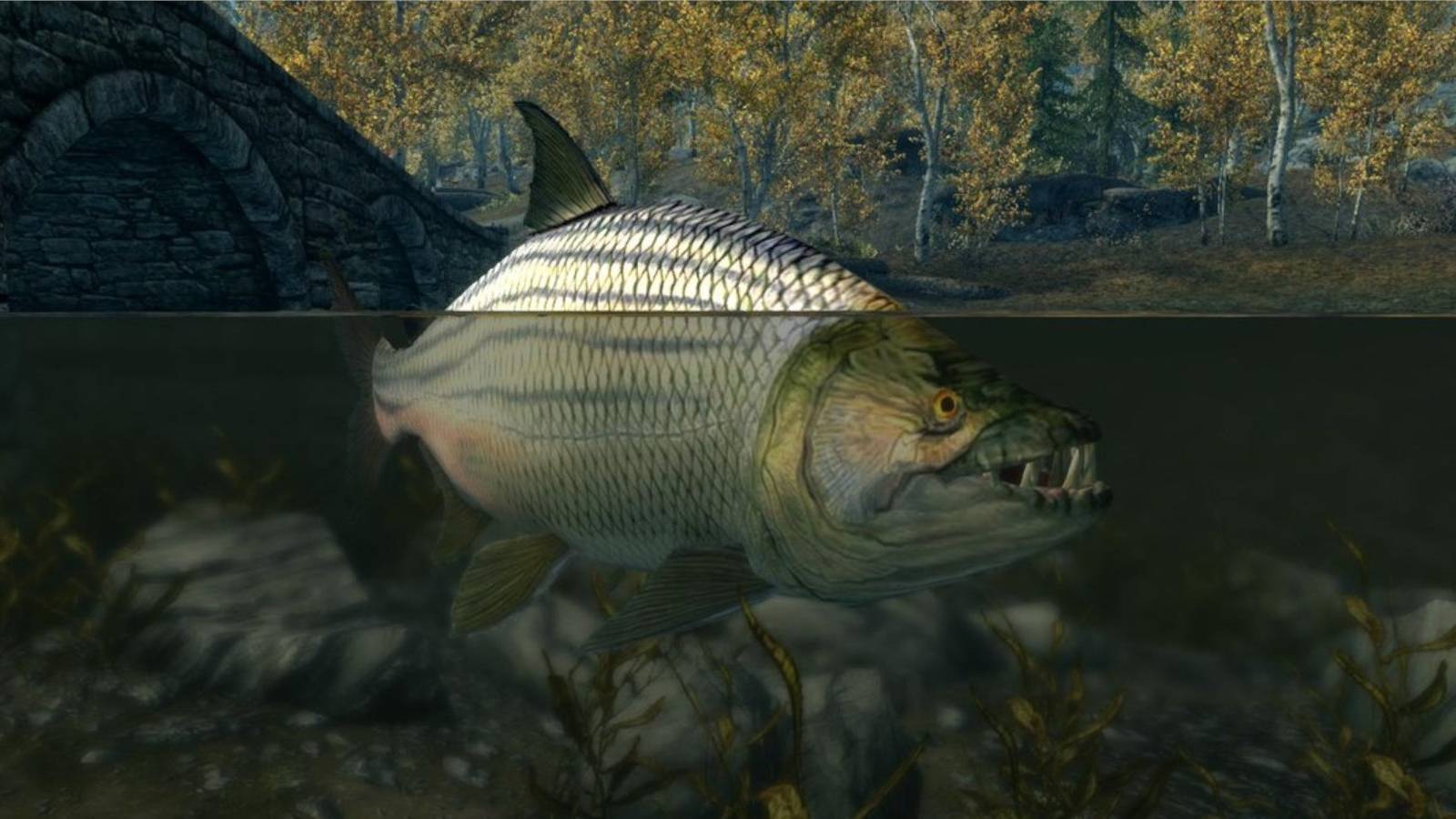 Skyrim: Aquariums Should Make Fishing More Rewarding