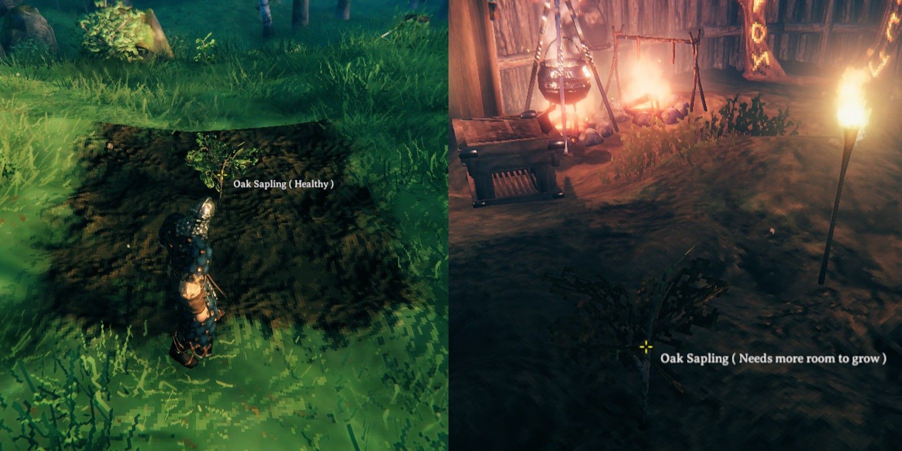 Valheim: How To Get Oak Seeds