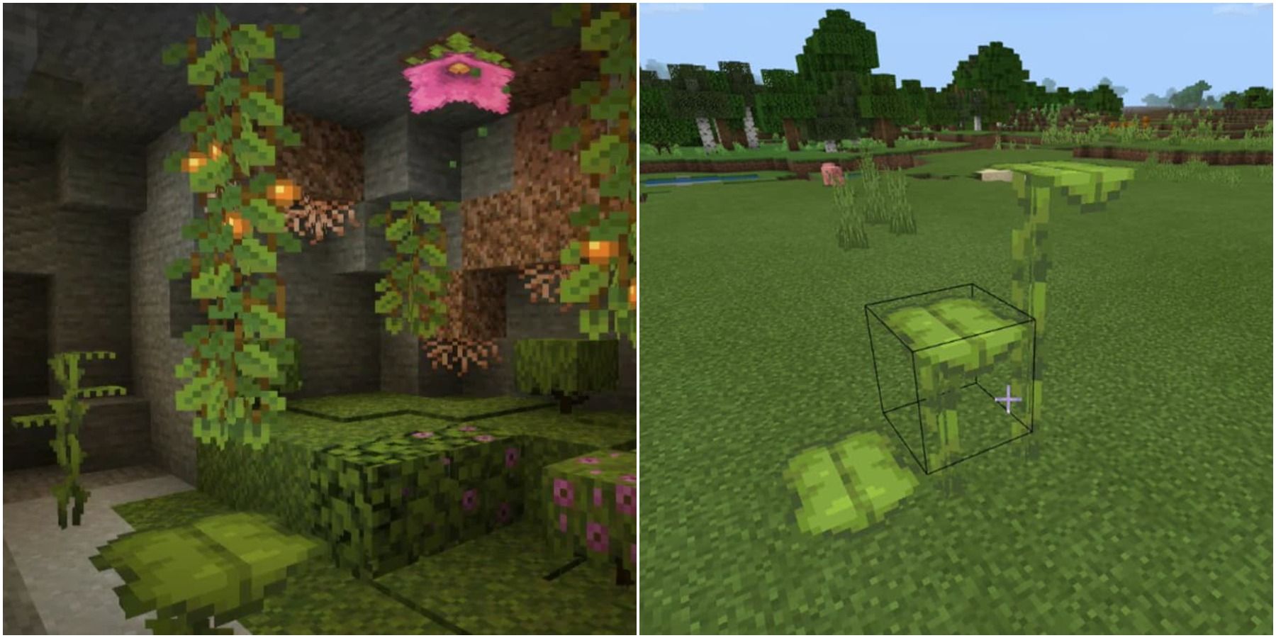 Minecraft: How To Get Dripleaf (& What It Does)