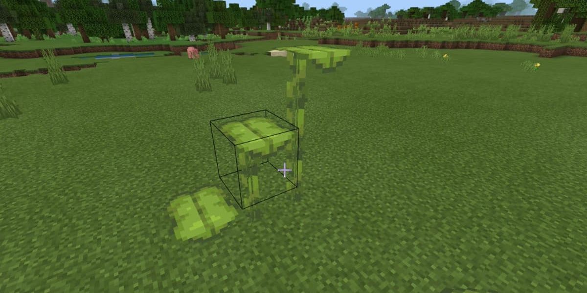 Minecraft: How To Get Dripleaf (& What It Does)