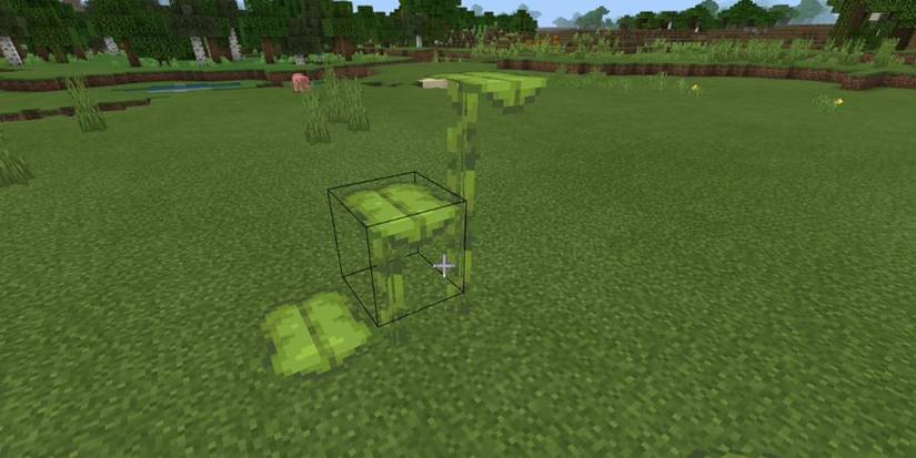 Minecraft: How To Get Dripleaf (& What It Does)