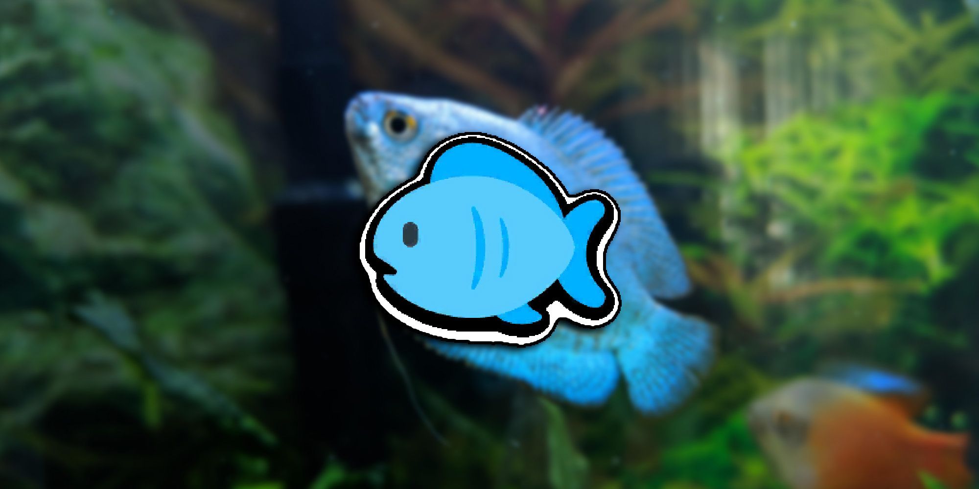 Super Auto Pets: The Best Tier 1 Pets To Grab Early