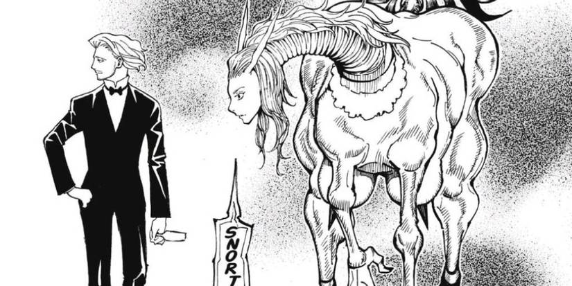 Most Important Characters In Hunter x Hunter's The Succession Contest Arc