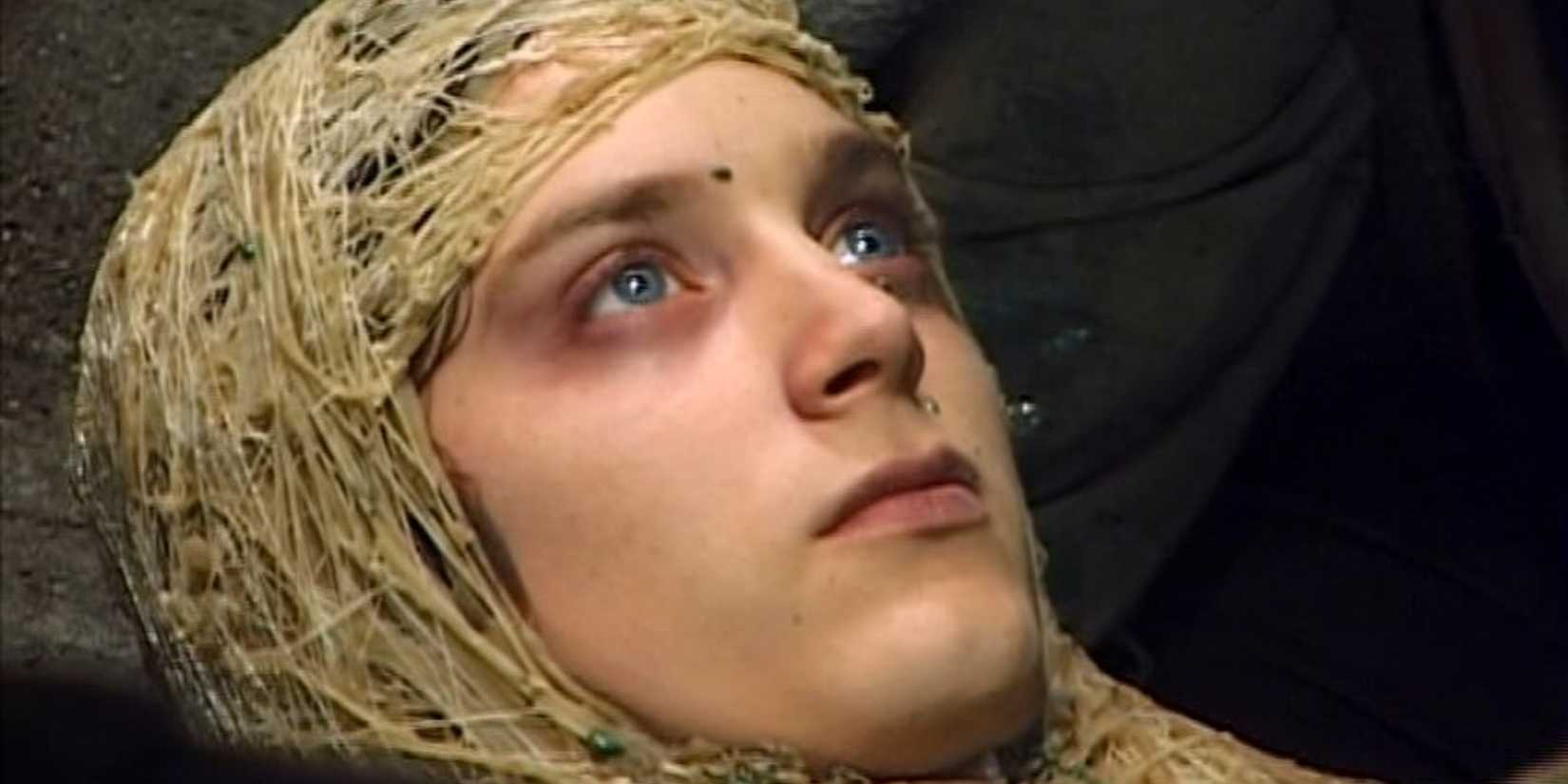 LOTR: Arwen’s Kind Gesture For Frodo Is Not Talked About Enough