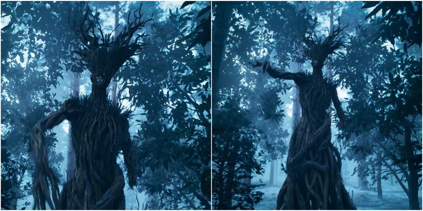The Witcher: Facts About Leshy