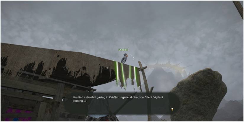 Final Fantasy 14: What Is The Deal With The Shoebill?