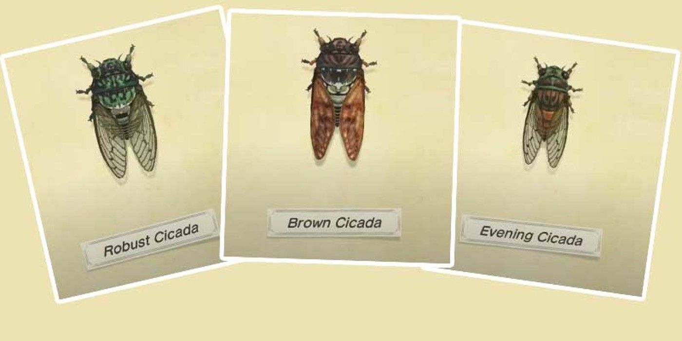 How to Catch A Cicada Shell In Animal Crossing: New Horizons