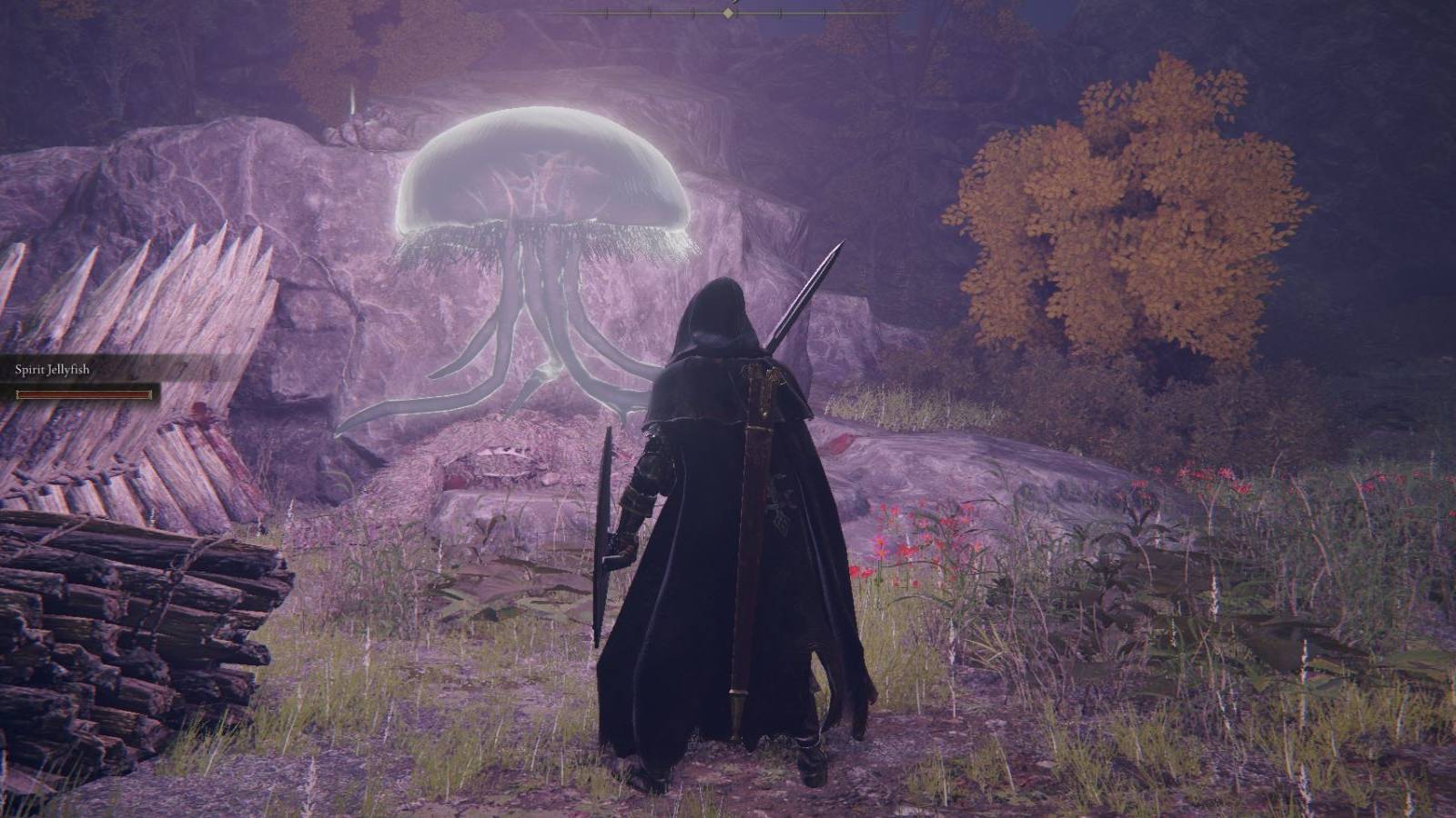 How to Use Spirit Ashes in Elden Ring