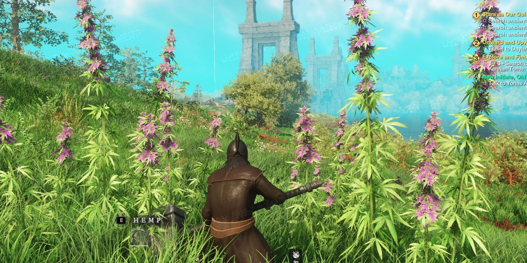 New World: Beginner Mistakes