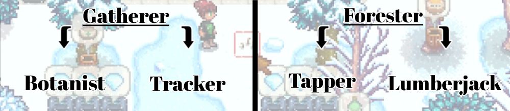 Which Foraging Profession To Choose In Stardew Valley