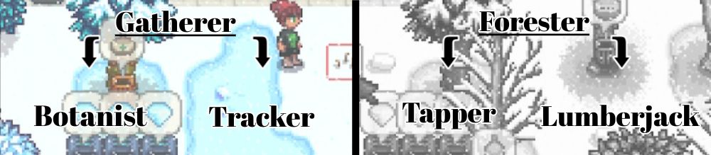 Which Foraging Profession To Choose In Stardew Valley