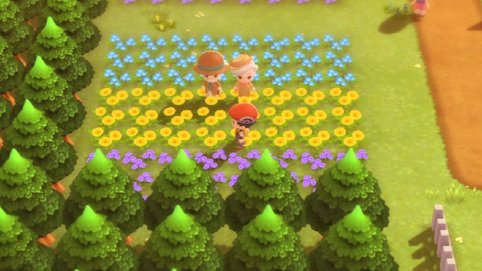 Image Shows How Floara Garden in Pokemon Legends: Arceus Compares to ...