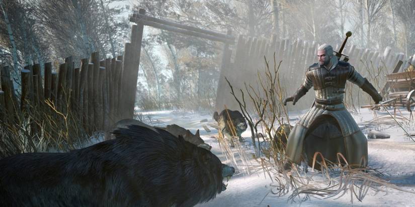 The Witcher 3: How To Beat Werewolves
