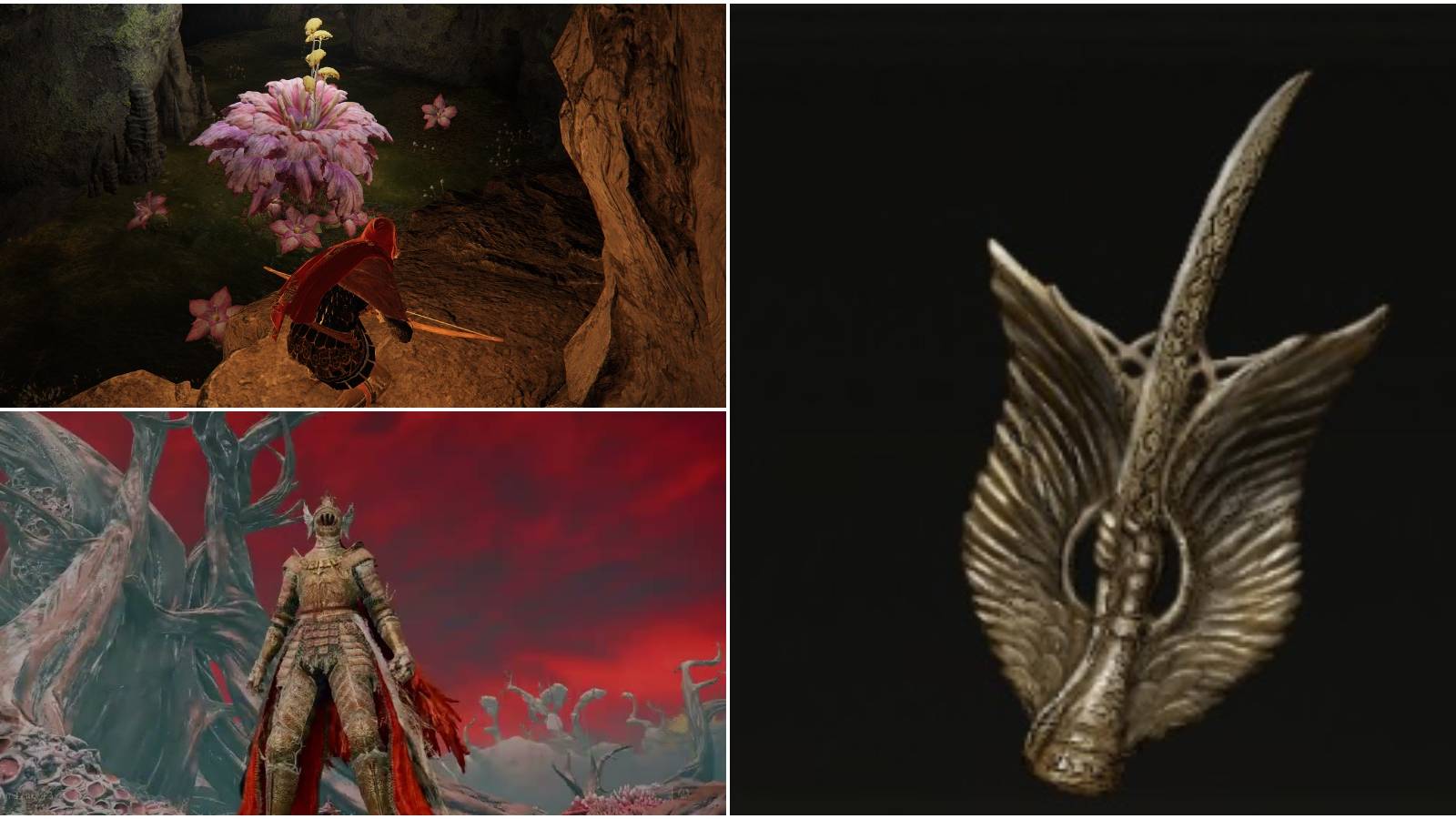 Where to Find the Winged Sword Insignia in Elden Ring