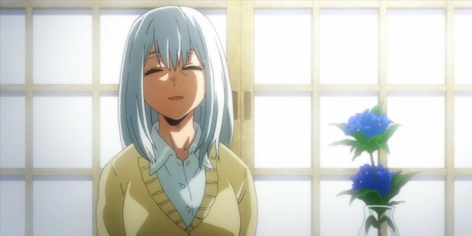 My Hero Academia: The Todoroki Family Plotline, Explained