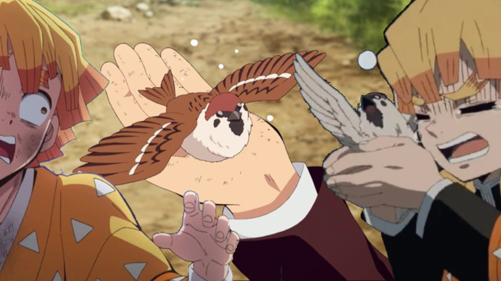 Demon Slayer: Why Did Zenitsu Get a Sparrow Instead of a Crow?