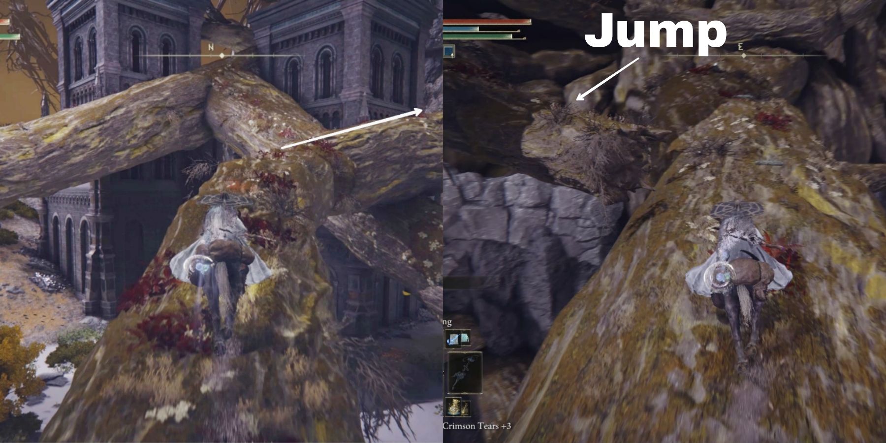 Elden Ring: Where to Find Lichdragon Fortissax Secret Boss