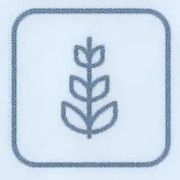 Tunic: All Ability Cards