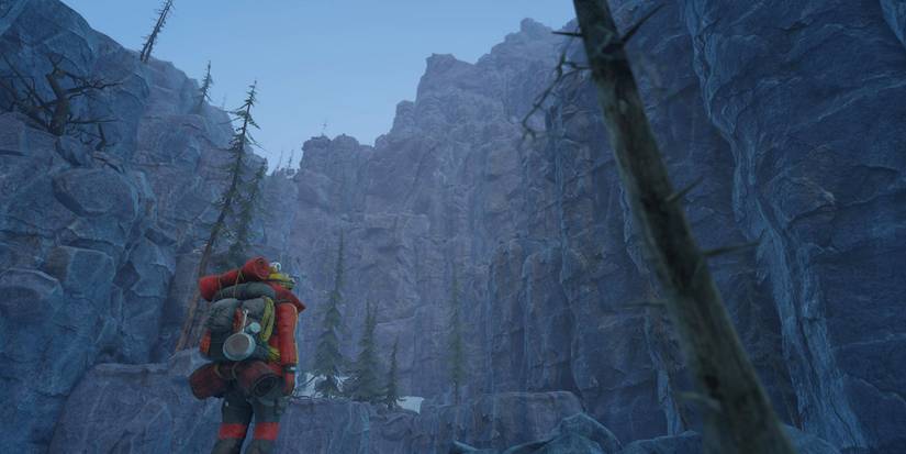 Beginner Tips For Insurmountable